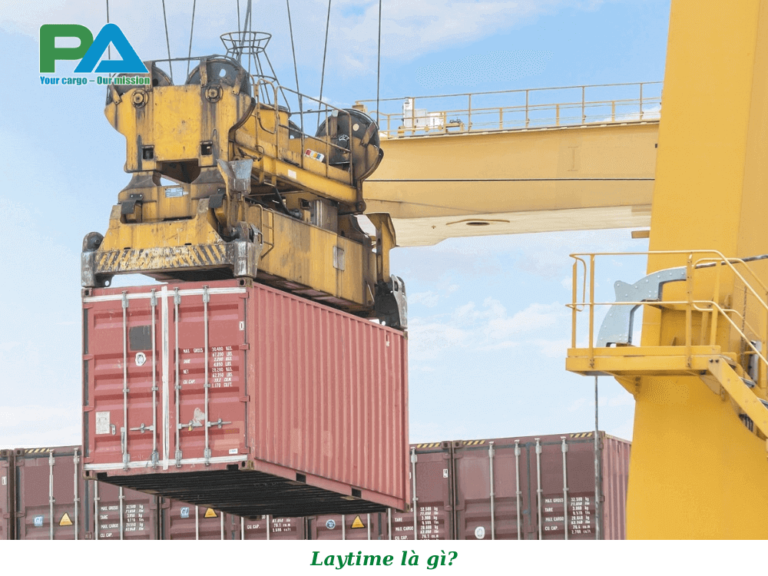 Laytime Là Gì? Quy định Về Laytime | Vận Chuyển Phước An