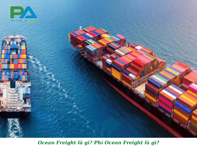 Ocean Freight Là Gì? Ai Là Người Trả Phí Ocean Freight?